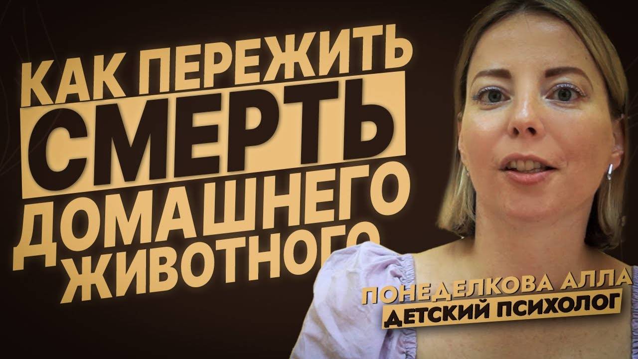 Не стало моего домашнего животного - как помочь ребёнку справиться с потерей?