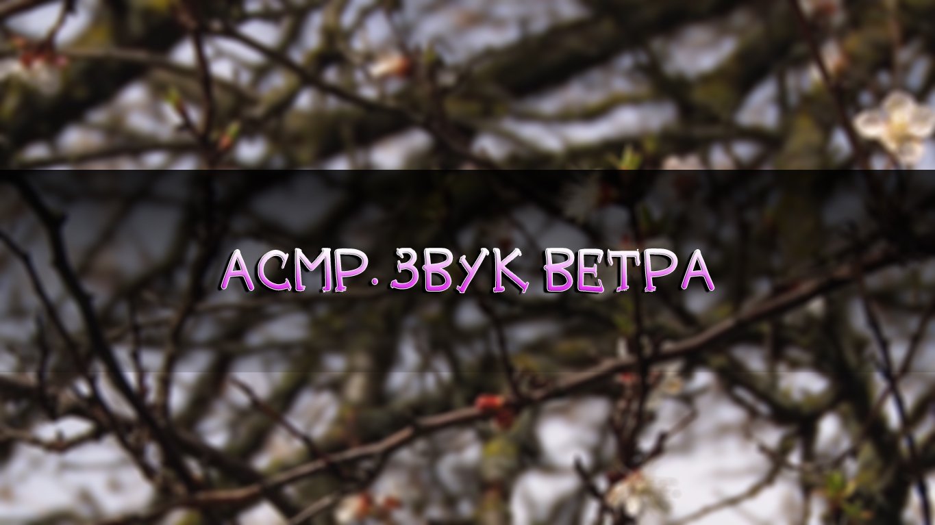 АСМР.  Апрельский день, шум ветра, порывы ветра, пение птиц, звуки окружающей среды в деревне.