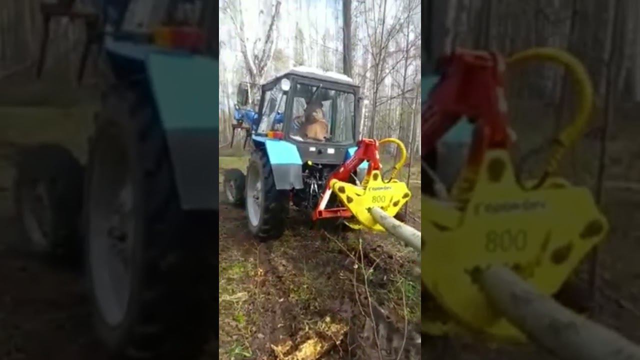 лесной захват #Горыныч. #трелёвка хвороста 80мм трактором МТЗ.