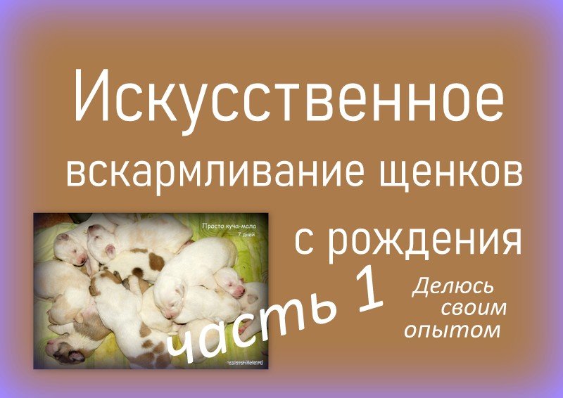 Искусственное вскармливание щенков от рождения до месяца часть 1