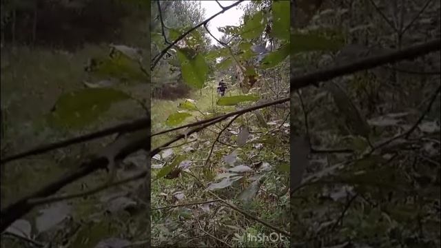 Шёл 31 год семейного счастья