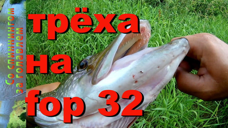 Большая Щука напала на малыша. А пришёл ведь половить Голавля!!! Щука на спиннинг. Рыбалка на реке.