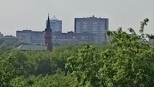 Мусульмане