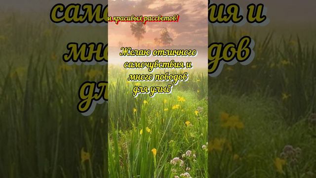 Самая, самая... #доброеутро#рассвет#shorts#