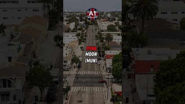 Учим 5 английских слов в день.