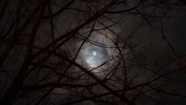 "Облака врезаются в небо" Оксана Васильева. Читает Ярамат.