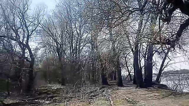 ПриРОДа - оЖИВАет !!!