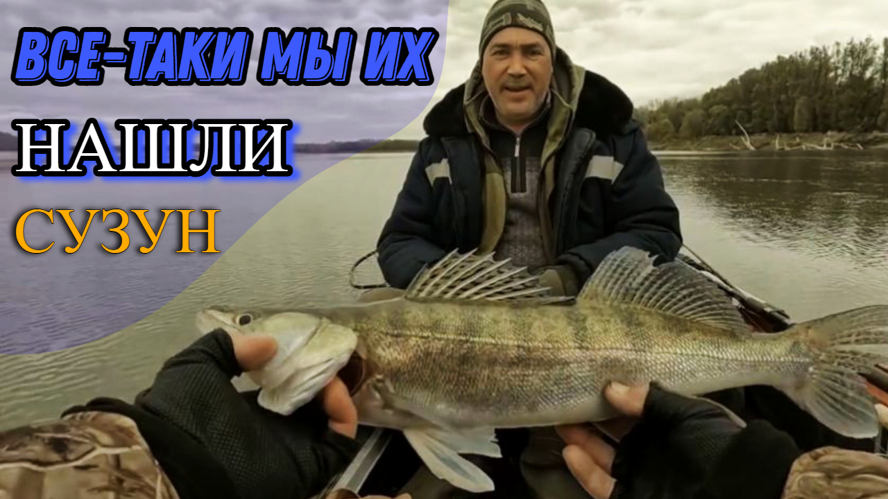 Рыбалка на Оби (Сузун) 2 октября 2022г. Искали судака и не только !