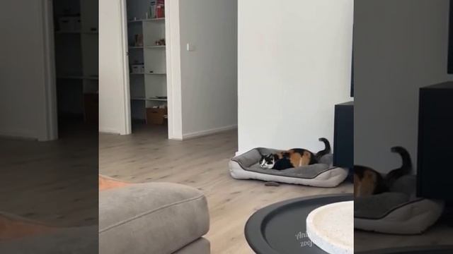 Крыша течет