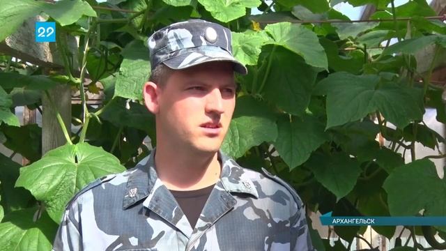 Регион29_Сейчас в регионе_Тепличное хозяйство