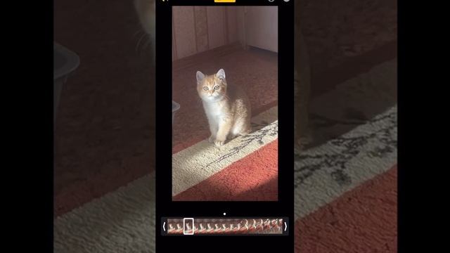 В тик-токе придумали новый тренд