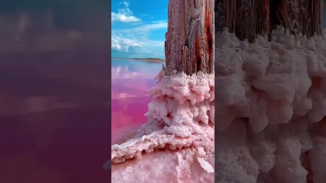 Соленые озера России