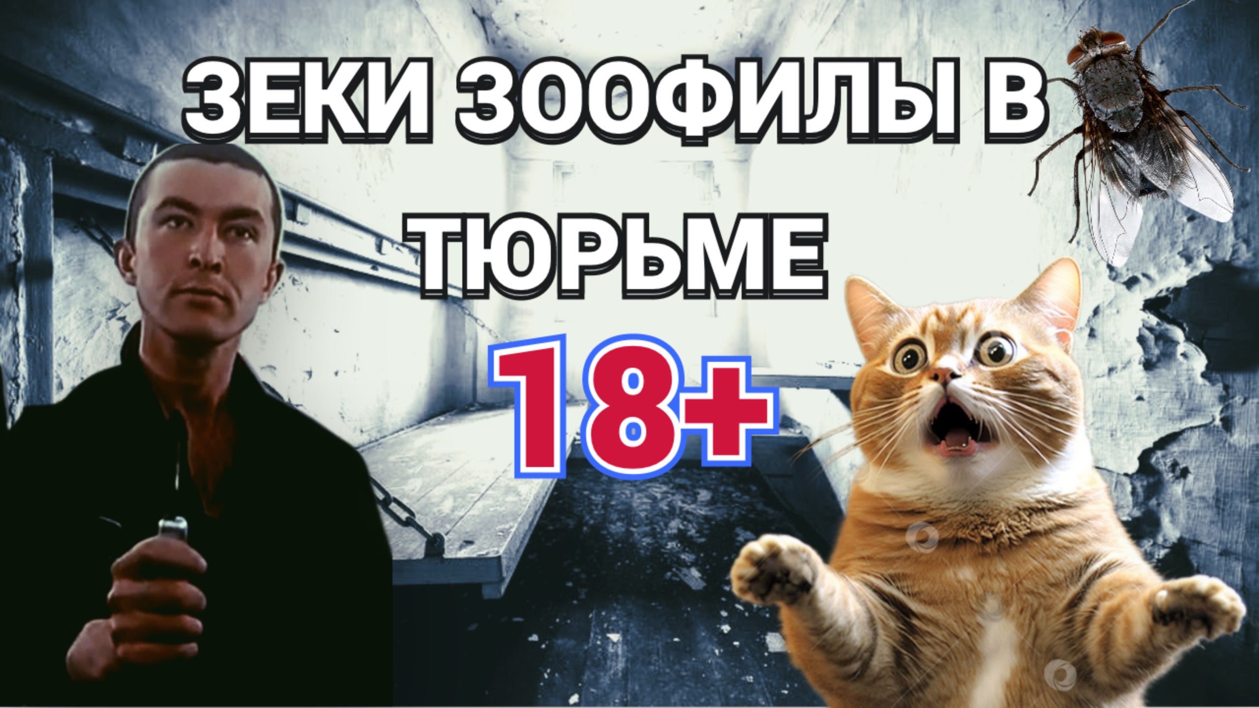 ТЮРЕМНЫЕ ИСТОРИИ - В МИРЕ ЖИВОТНЫХ / 18+