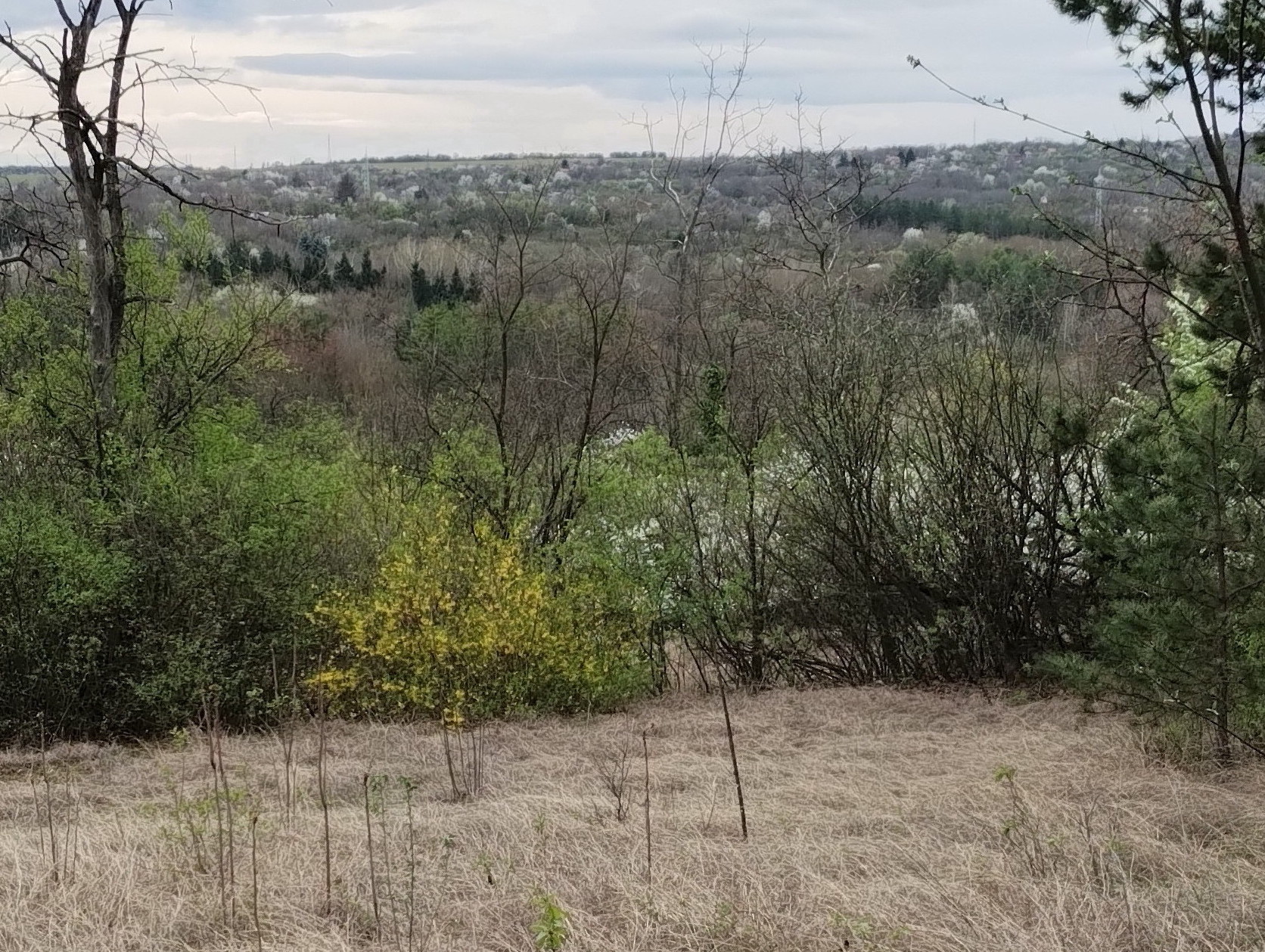 ИЗ ПЛЕВЕНСКА ОБЛАСТ /част 34/ Плевен - Пордим