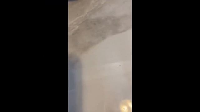 подборка приколов 76