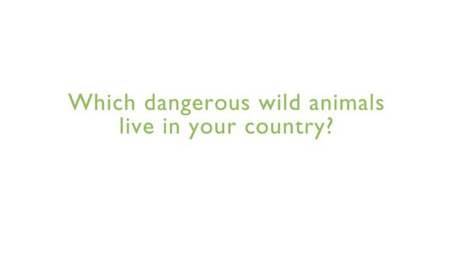 Wider World 2 (WW2) Unit 3_1_VoxPops_3_1