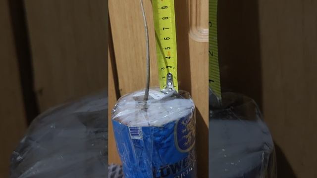 Азимина, банановое дерево Небраски, северный банан, paw-paw, asimina triloba, пау-пау, _2024-03-04_