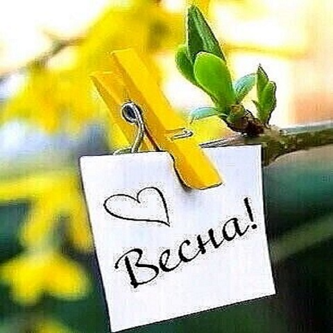 Весеннее Настроение.Музыкальный Привет?