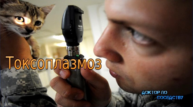Токсоплазмоз. Доктор по соседству.