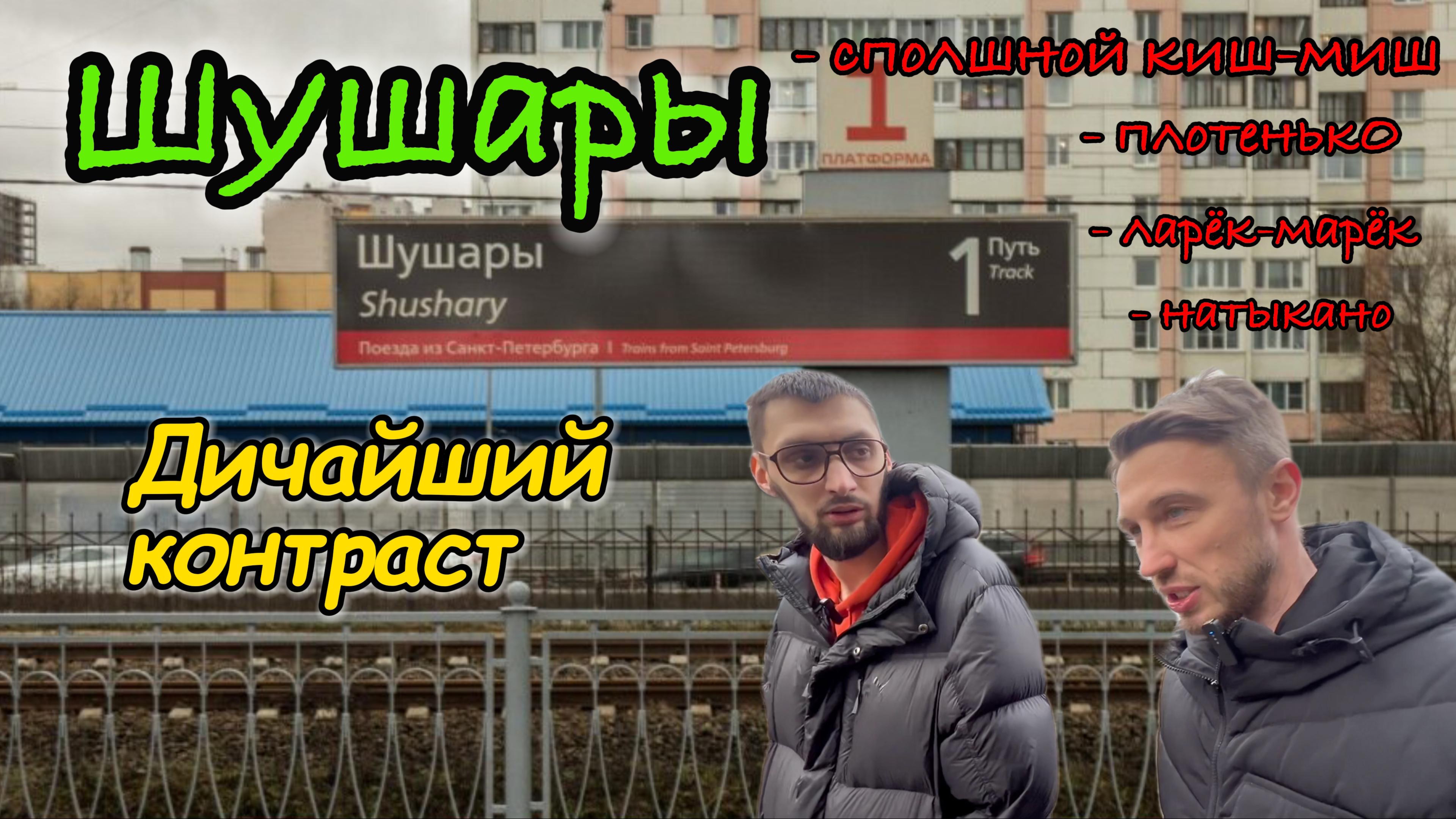 Дикий контраст. Шушары.