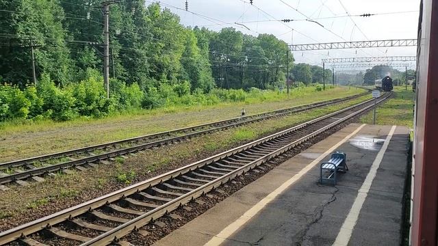 Паровоз везет туристов