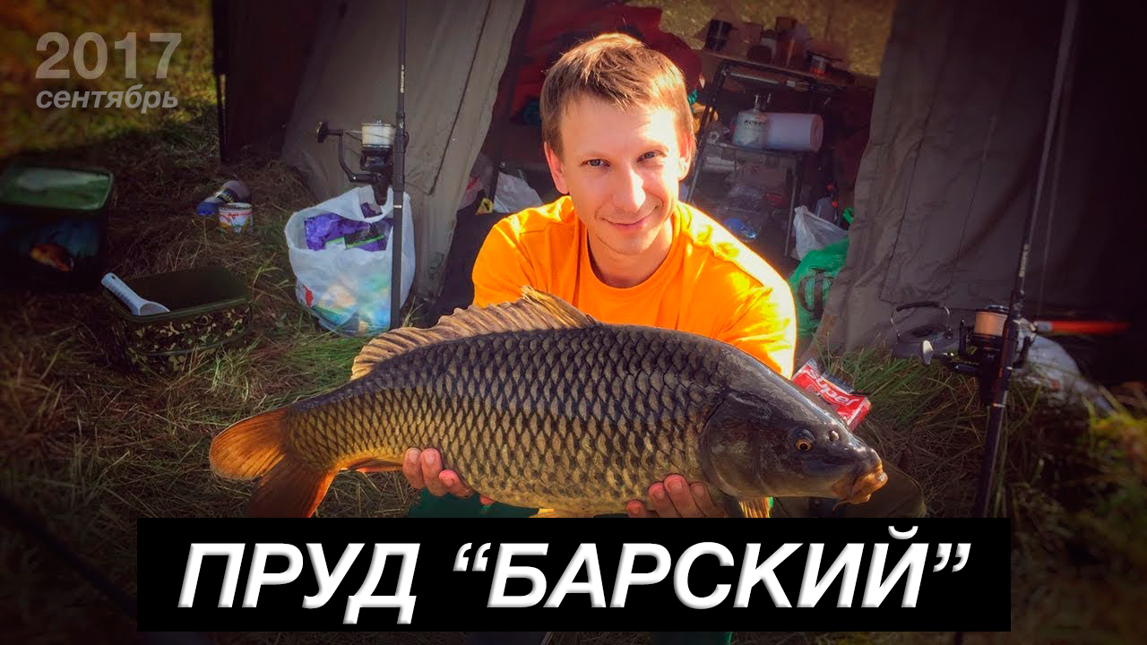 Пруд Барский (сентябрь 2017)