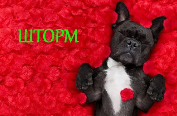 КОЛЫБЕЛЬНАЯ. ШТОРМ.