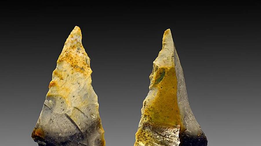 #29 Человечество в эпоху палеолита. Часть 2 (окончание). Инопланетяне или соплеменники?