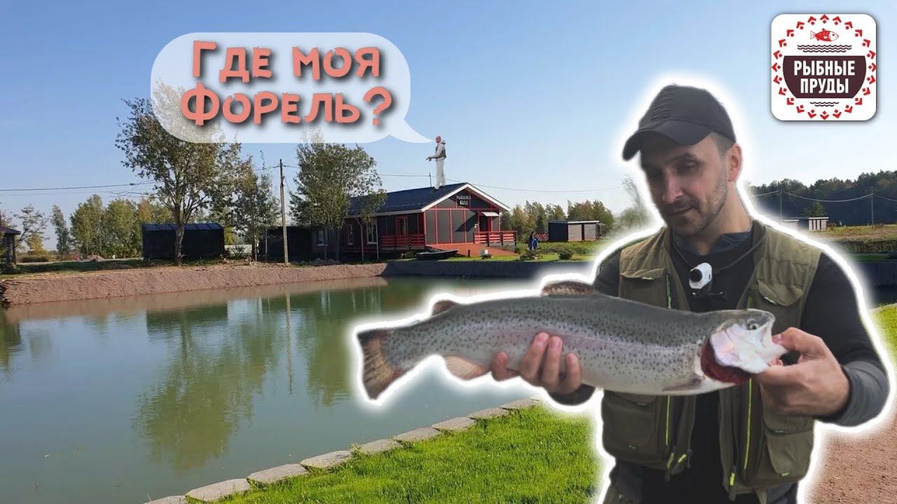 Впервые на платнике | Рыбалка на «Рыбных прудах»