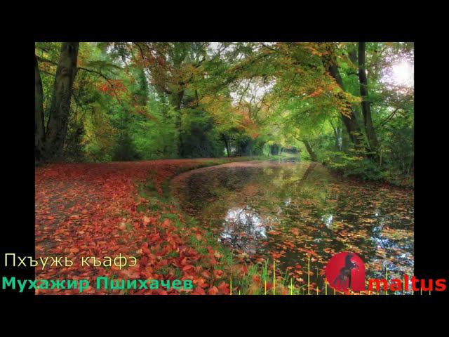 Пхъужь къафэ - Мухажир Пшихачев