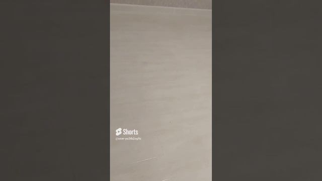 Укладка ламината 20 кв.м