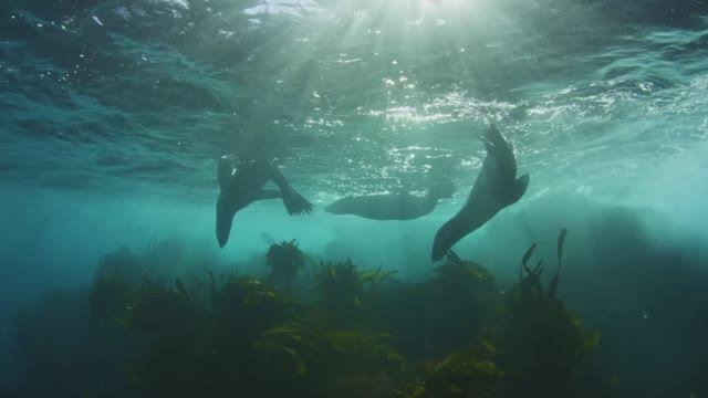 Музыка помогает избавиться от негативных мыслей и эмоций, расслабиться.