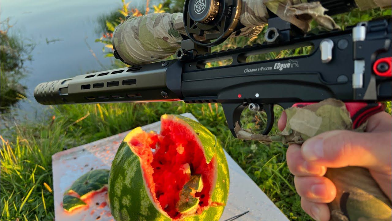 ✅ PCP ЭДГАН ЛЕШИЙ 2.0 Vs АРБУЗ I PCP EDgun LESHII 2 Vs COCONUT  #леший #pcp