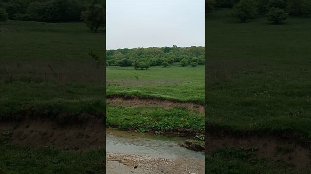 Прекрасна на Крымская природа