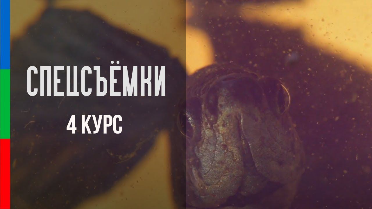 Макросъемка