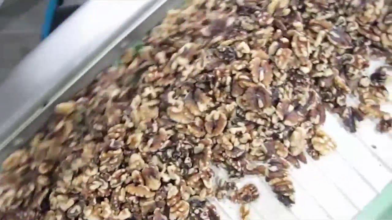 Оптическая сортировка орехов