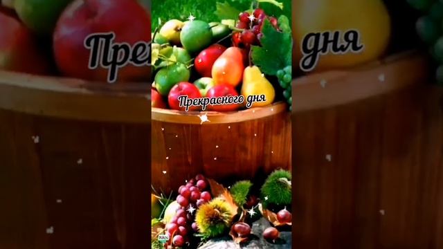 Доброго утра, прекрасного дня