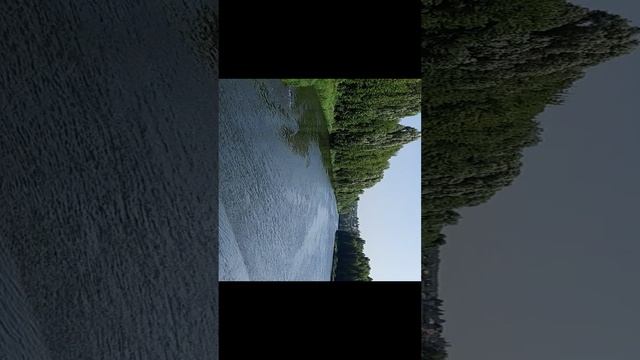 Р.Дон и пантон