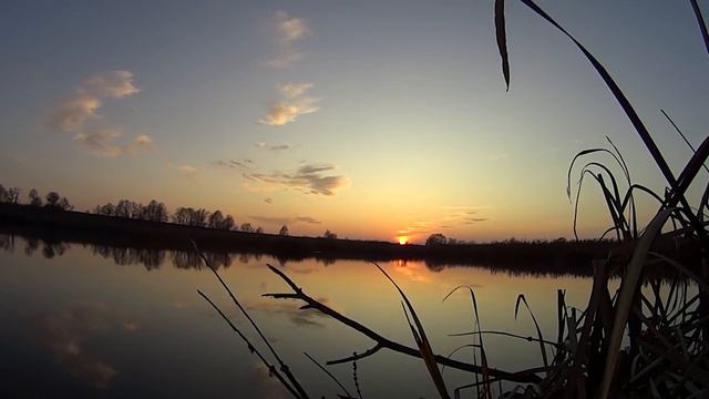 Охота на утку. Озеро _Лебяжье_.