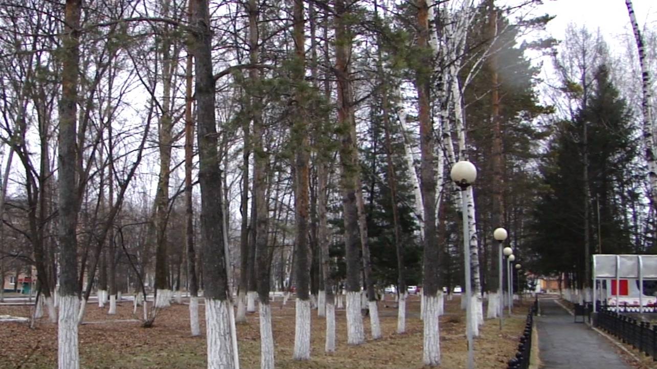 3.12 2018 г. Дождь вместо снега.