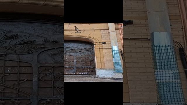 Типичный Питер , метро Звенигородская