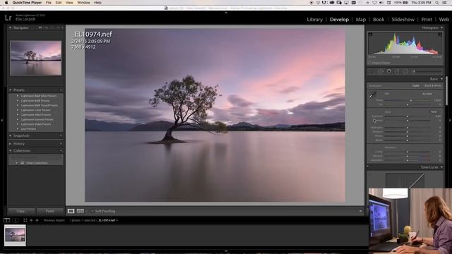 Lesson - 9 - New Zealand - Wanaka Tree-21