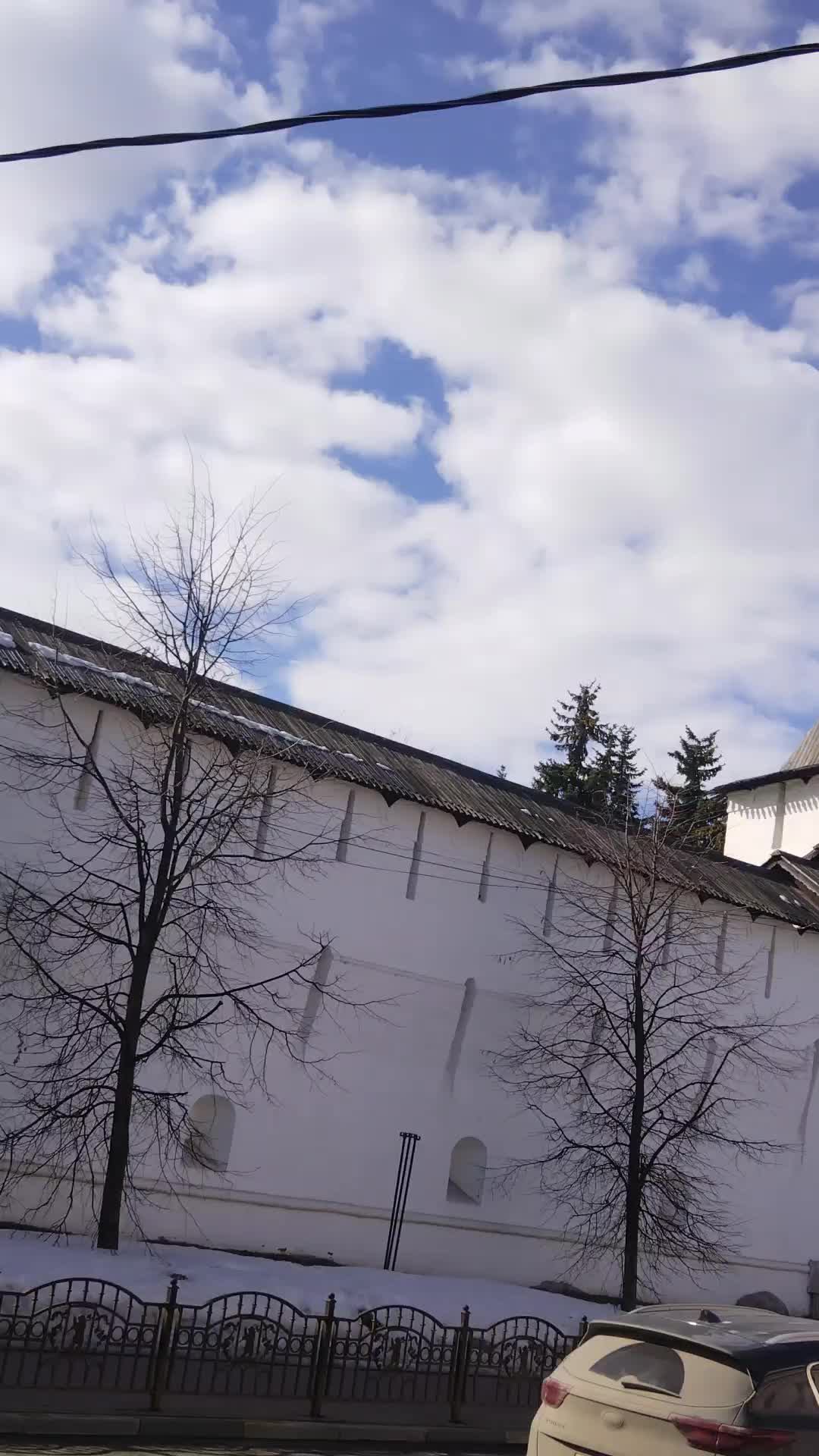 Медведь рычит Ярославль 12:00