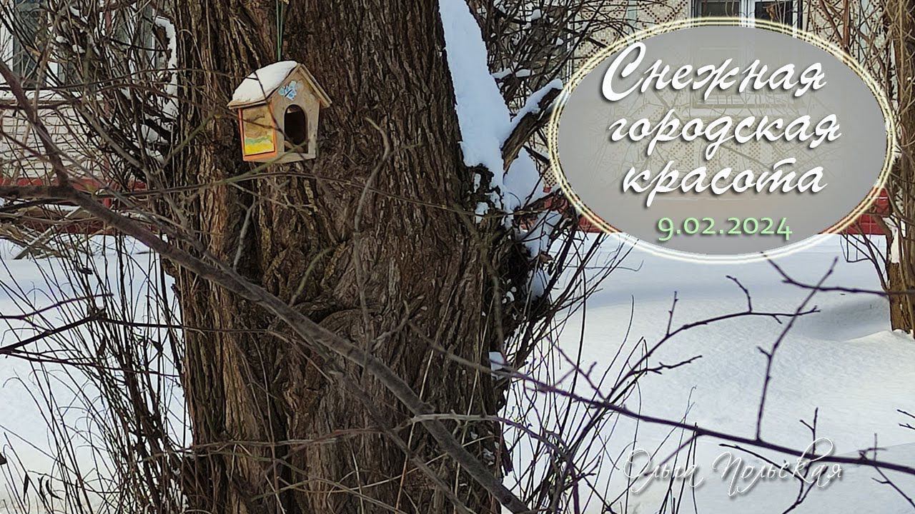 Прогулка после Ольги, Фикспрайс и зимняя городская красота 9.02.2024