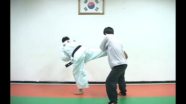 Техника танбона (короткая палка) в Хапкидо GHF. Ч 2