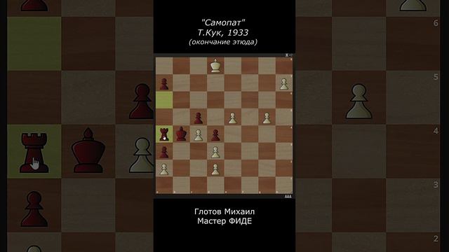 "Самопат". Т.Кук, 1933. Этюд в шахматах.
