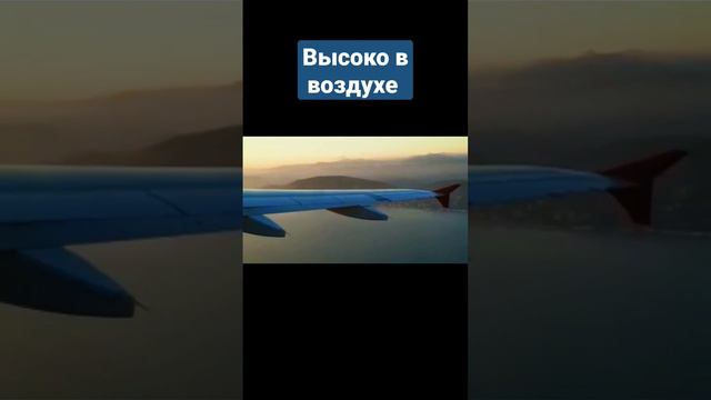 Высоко в воздухе. Александра Миркушова