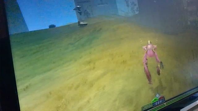 Амонг ас в споре