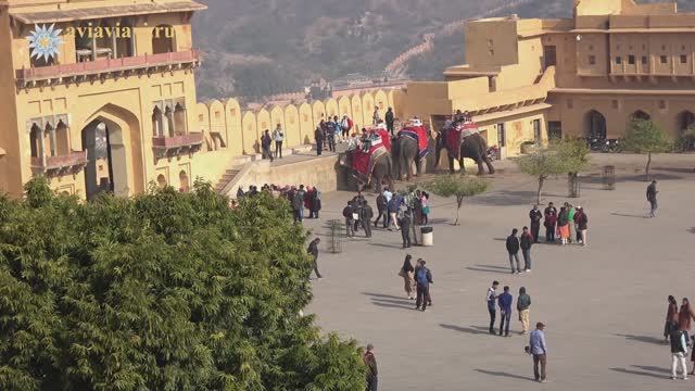 Джайпур. Форт Амбер