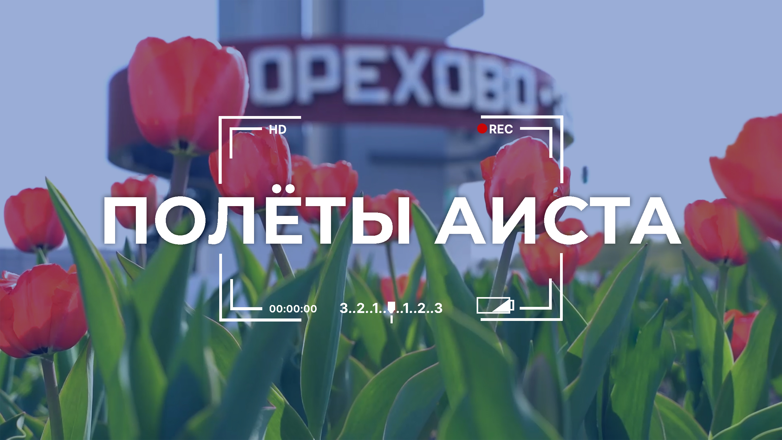 Полеты аиста. Благоустройство в г. Орехово-Зуево